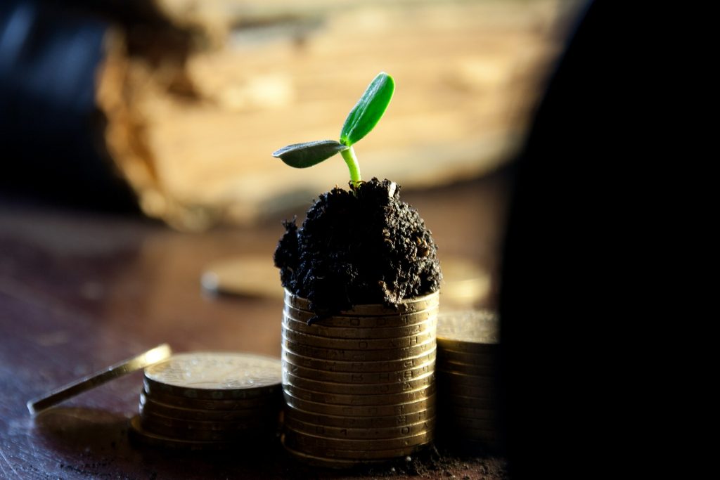 What Is Green Cryptocurrency and Is It Worth Investing? | More Than ... What Is Green Cryptocurrency and Is It Worth Investing? | More Than ...